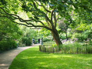 BEST PARKS IN BRUSSELS - S Marks The Spots