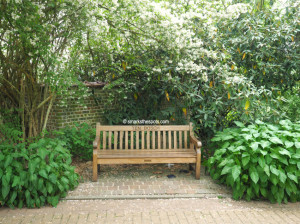 TENBOSCH PARK - S Marks The Spots