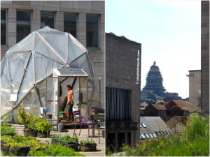 THE ROYAL LIBRARY OF BELGIUM CAFE - S Marks The Spots