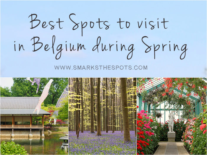BEST SPOTS TO VISIT IN BELGIUM DURING SPRING - S Marks The Spots