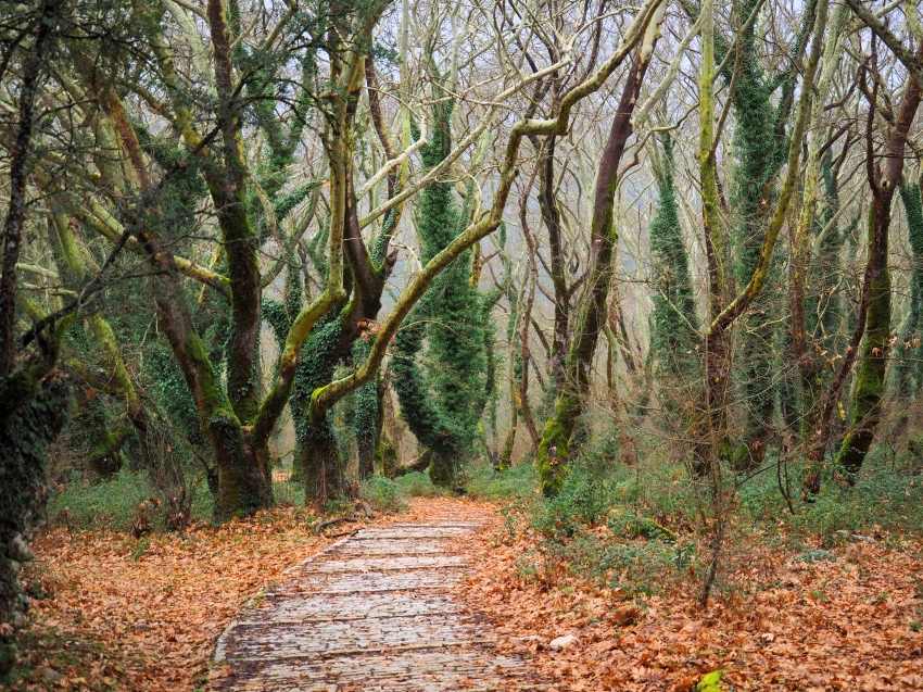 EXPLORING THE BEAUTIFUL ZAGOROCHORIA IN GREECE - S Marks The Spots